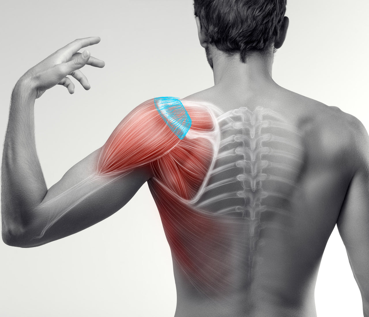 Mind Your Rotator Cuff – Dorsumtech